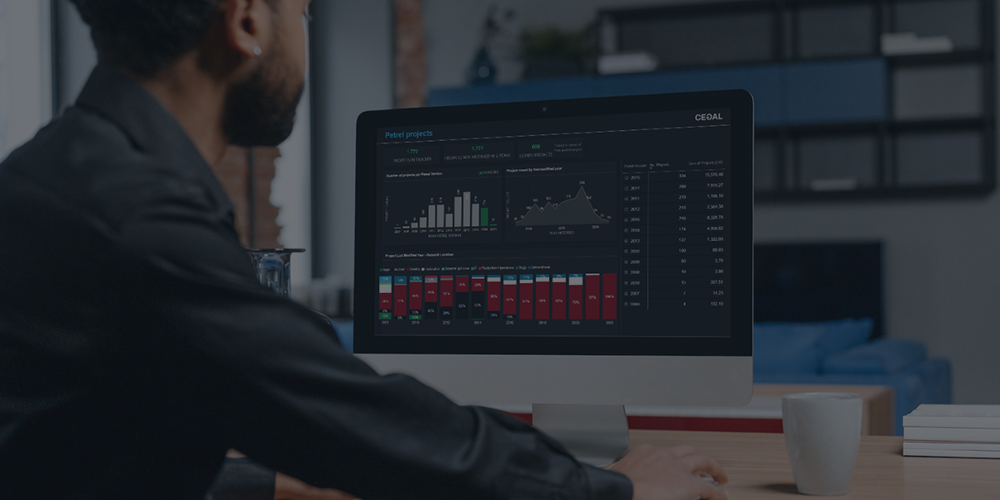 WEBINAR: Cegal Data Assessment